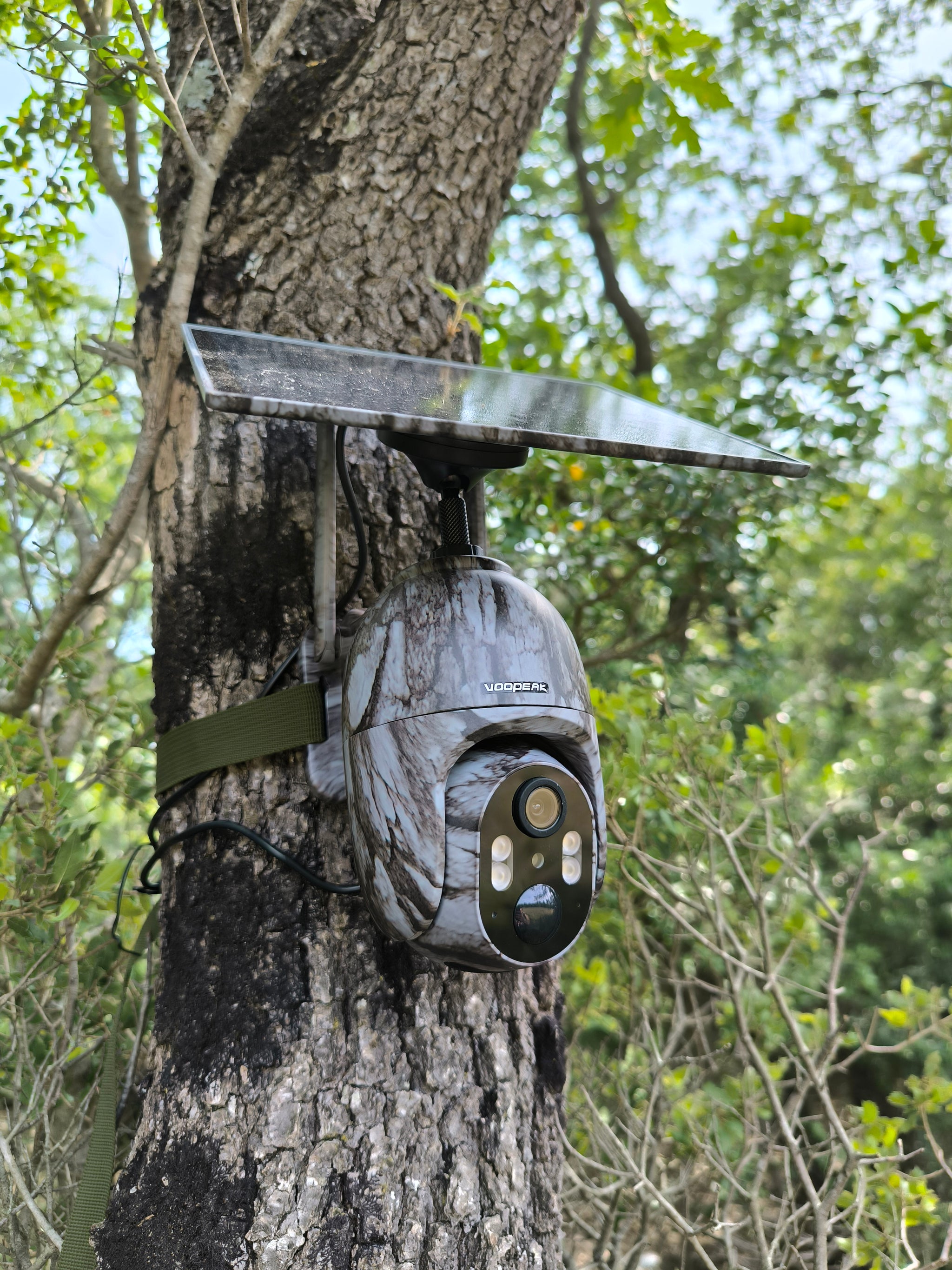 The Ultimate Guide to Hunting Cameras: How to Choose the Best Hunting