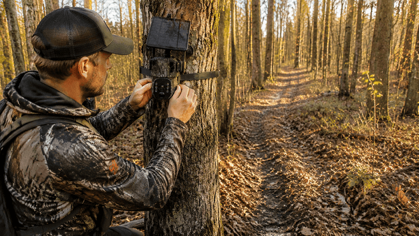 Best Trail Camera Placement Tips for Deer Hunting Success (2026 Guide)