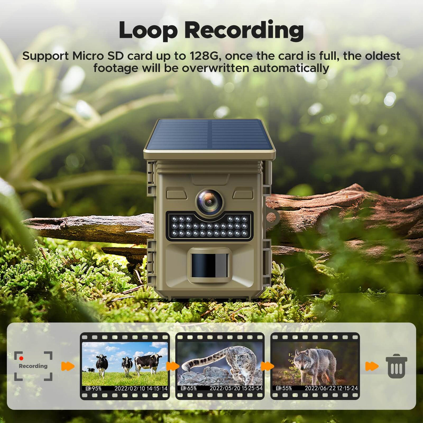 VOOPEAK TC19 4k Solar Trail Game Camera With 2.0-Inch Screen (No Wifi)