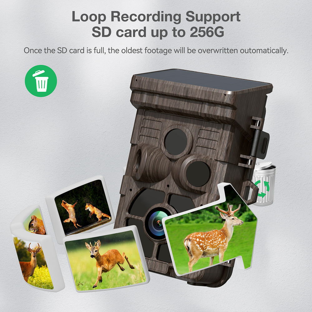 Low Glow Solar Trail Camera - Voopeak